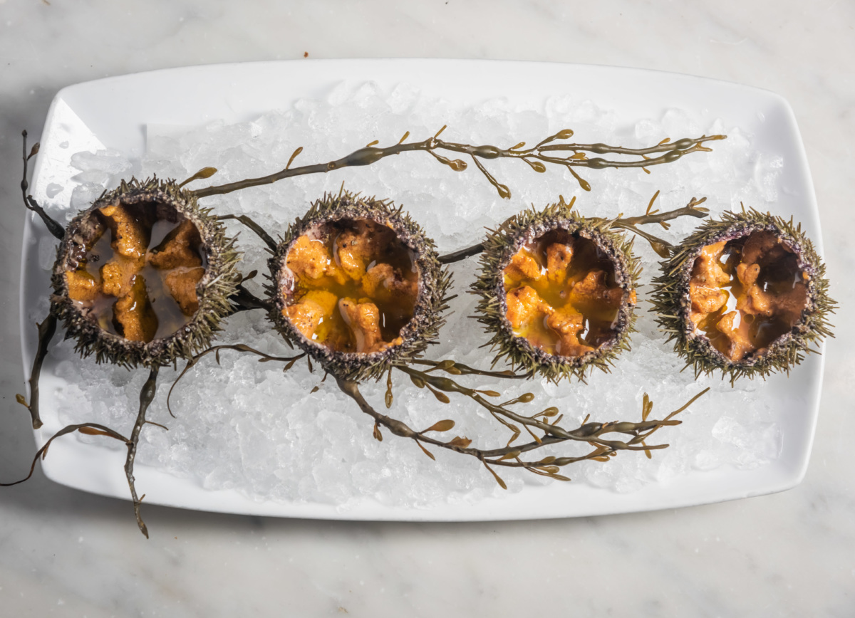 Meet The Duo Behind Esca’s Stellar Second Act — Resy | Right This Way