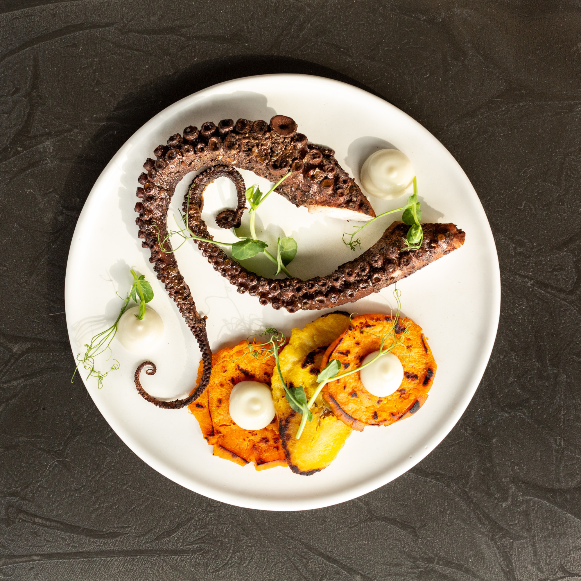 Mutiny Wine Room, Tongue-Cut Sparrow, and El Topo: Now on the Resy Hit ...