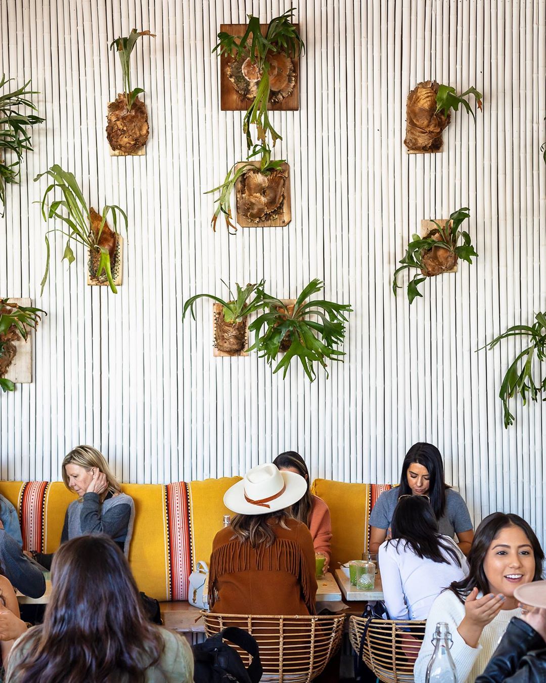 The Story of Chulita, and How It Carved Out a Space of its Own — Resy ...