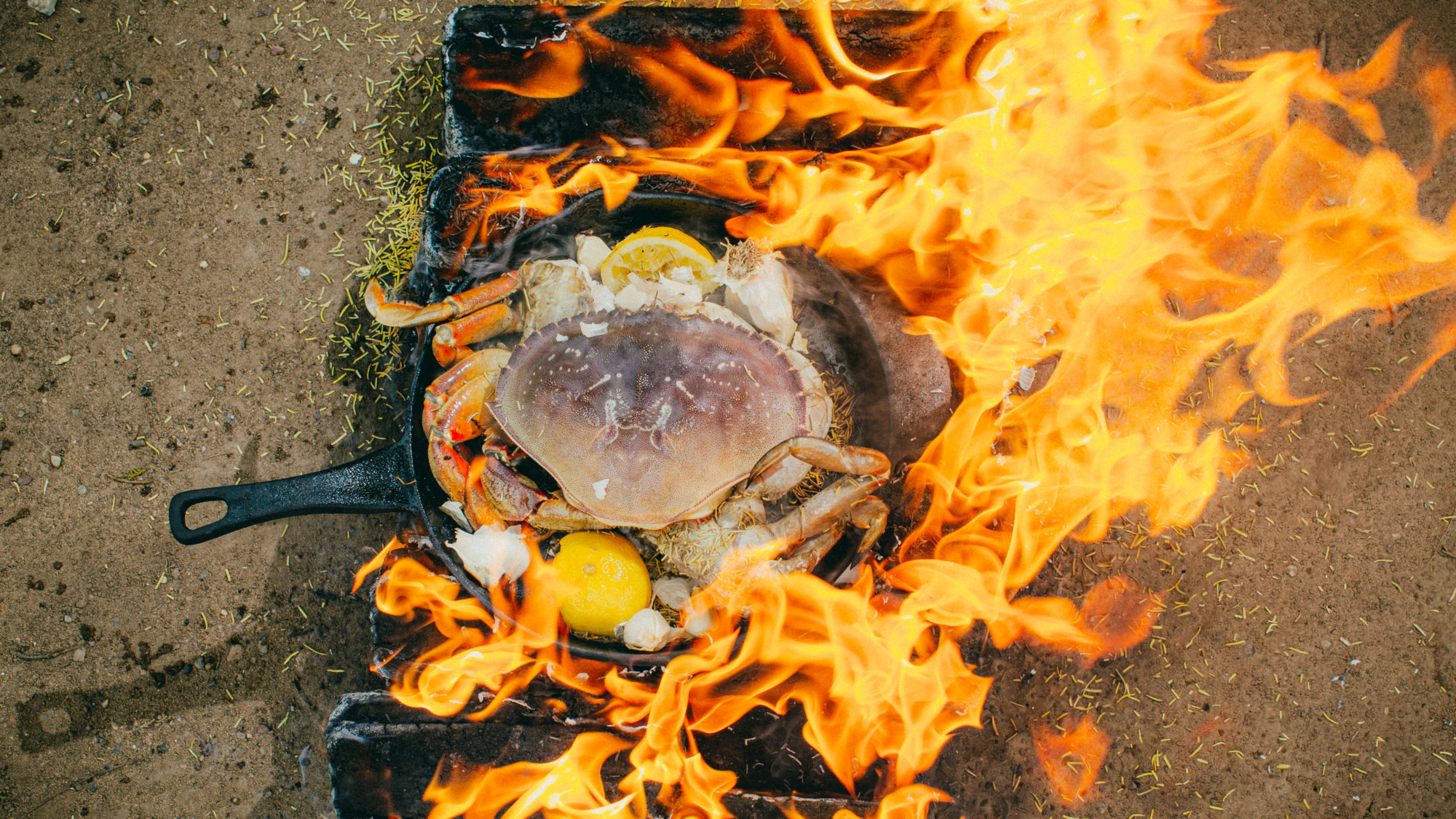 Red's House — Resy | Right This Way