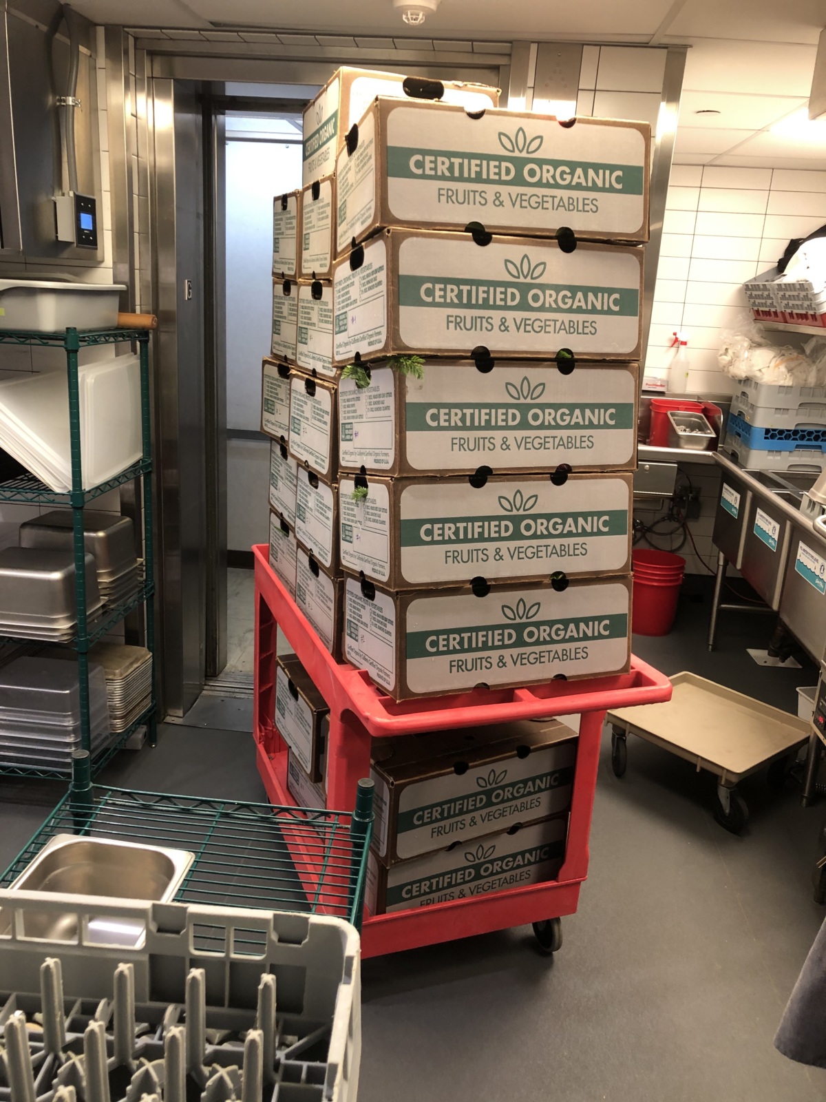 Kevin Tang, Sous Chef and Pop-Up Pioneer — Resy | Right This Way