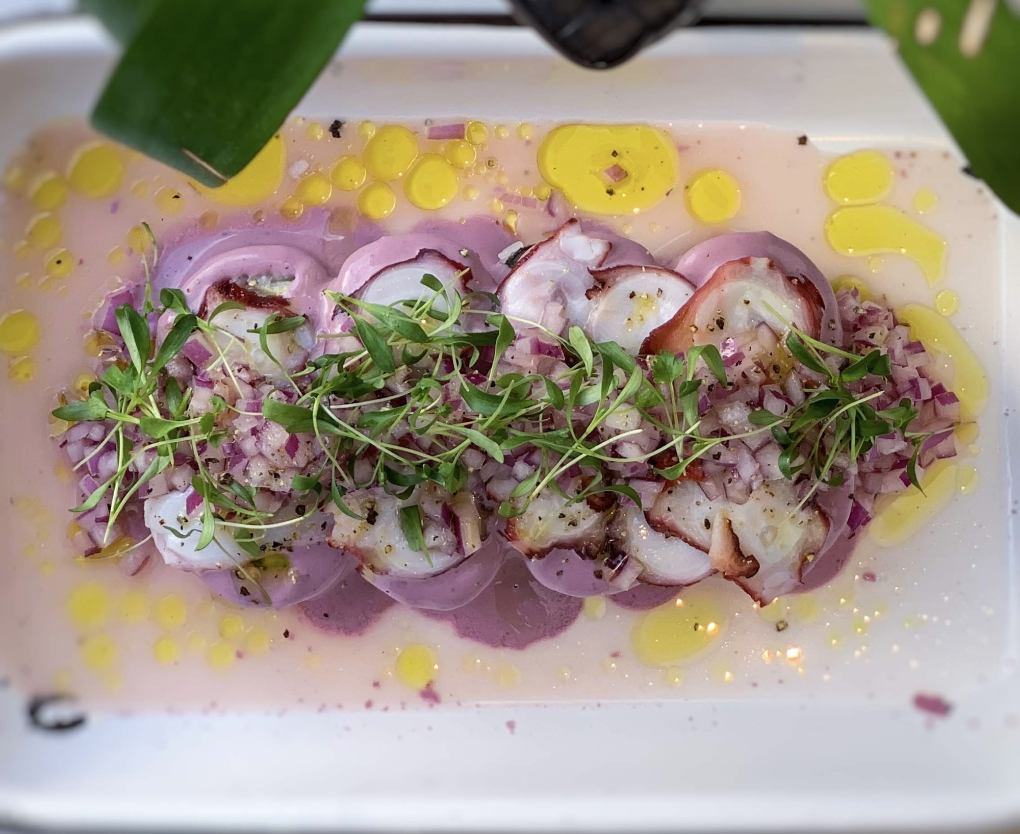 The Resy Guide to the Must-Eat Dishes of Miami — Resy | Right This Way