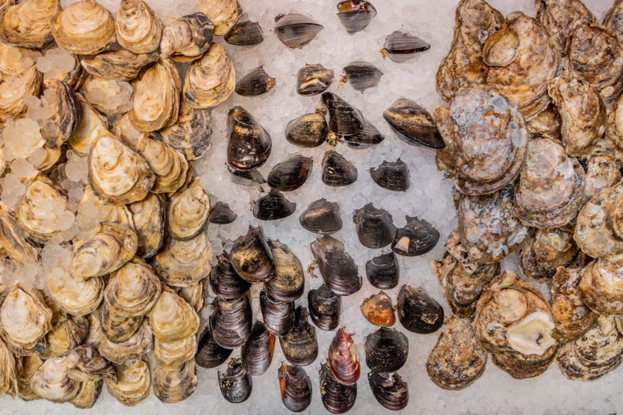 Everything You Need to Know about Superba Food+Bread in Hollywood ...