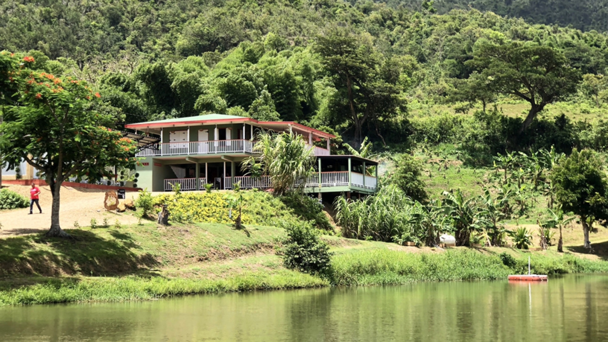 At Bacoa, You Taste the History and Future of Puerto Rican Food