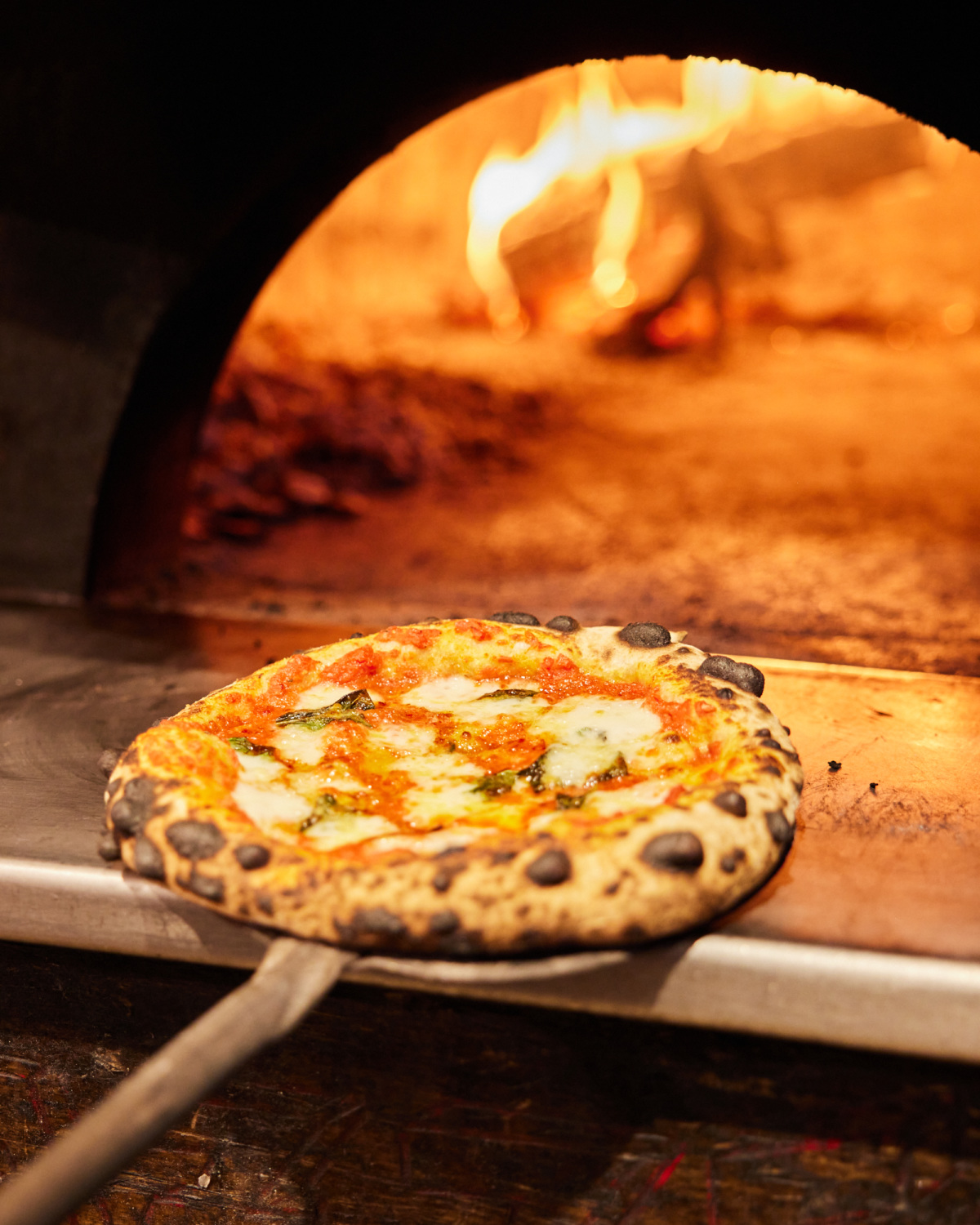 The Ultimate Guide to Pizza in Miami and South Florida