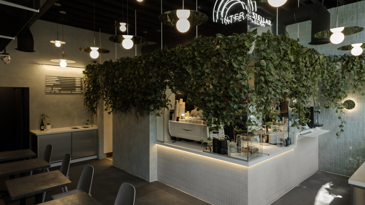 The Must-Order Dishes at Interstellar, Santa Monica's Favorite Cafe