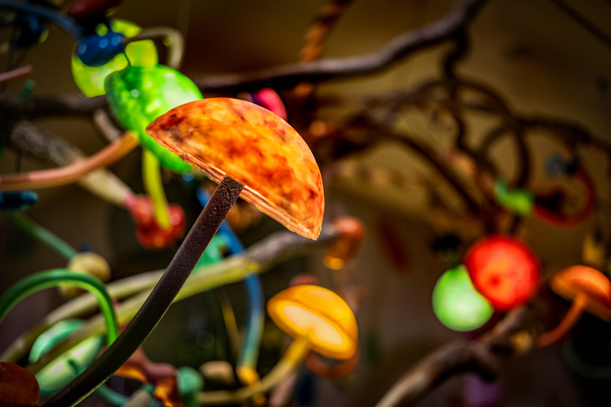 5 Things to Know About Manuela in Soho, Opening Soon — Resy | Right ...