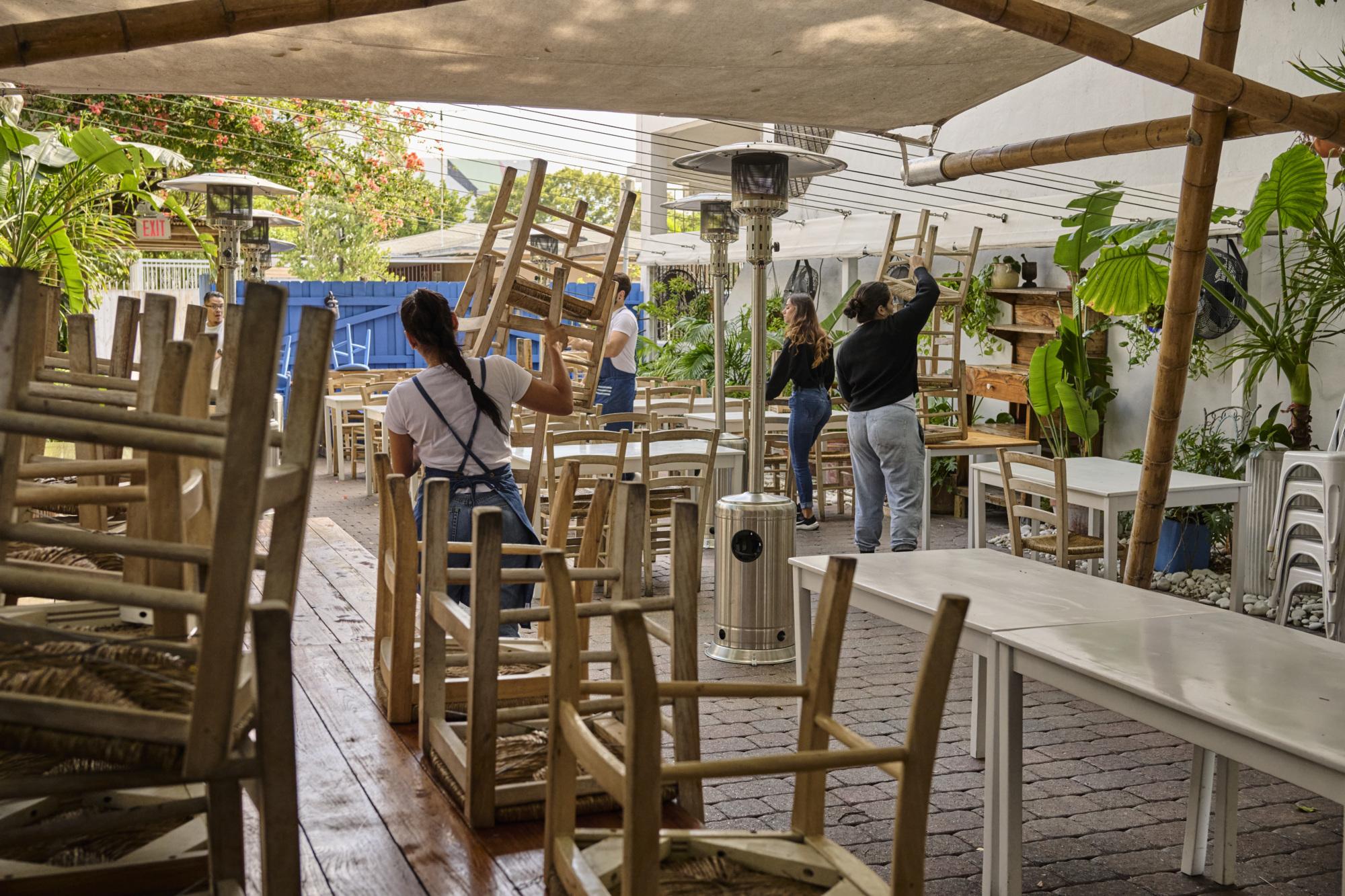 Here’s What It Takes to Create a Single Day of Magic at Mandolin — Resy ...