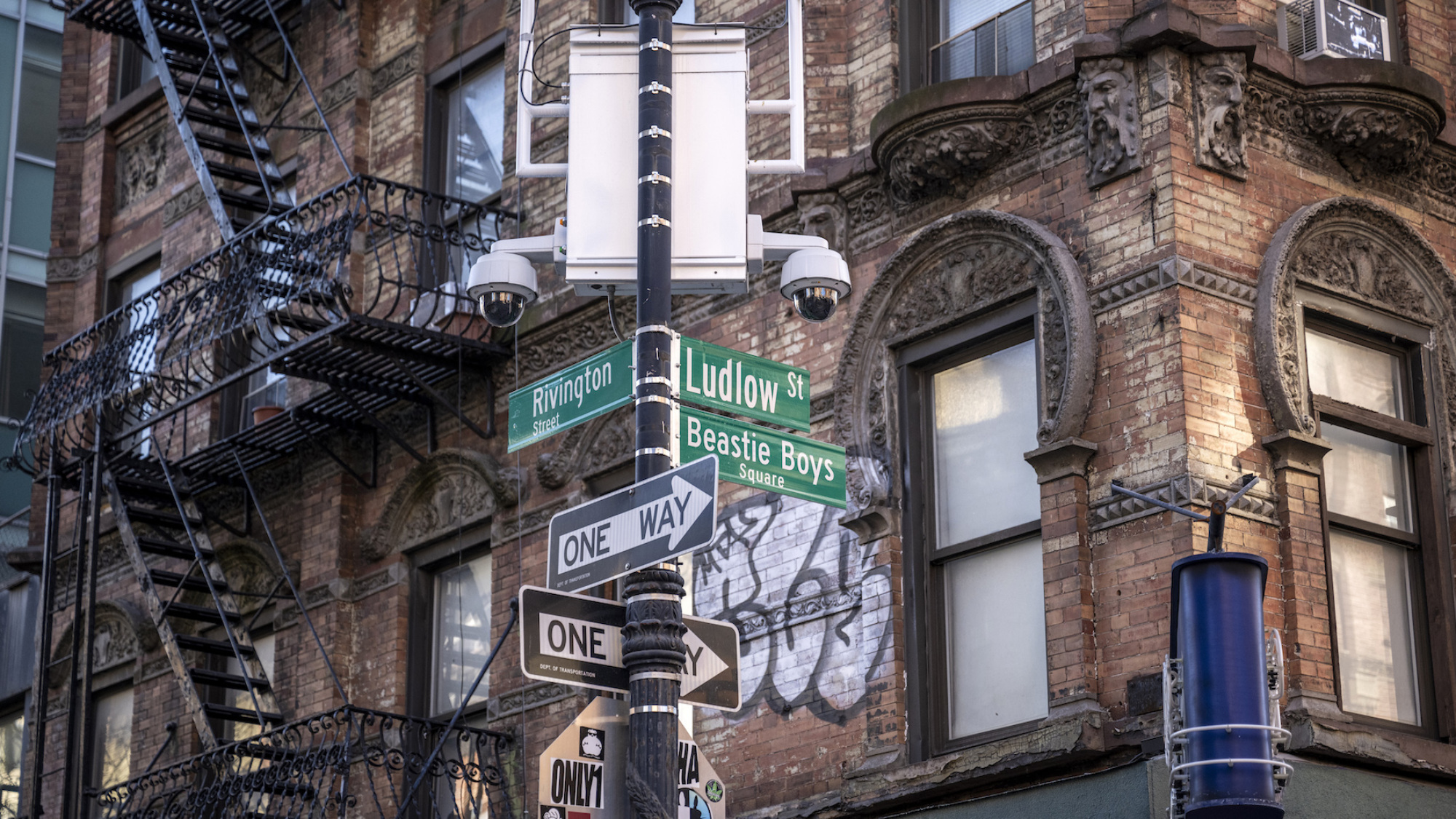 Cactus Wren, From Michelin-Starred Sixty Three Clinton, Isn’t Your ...