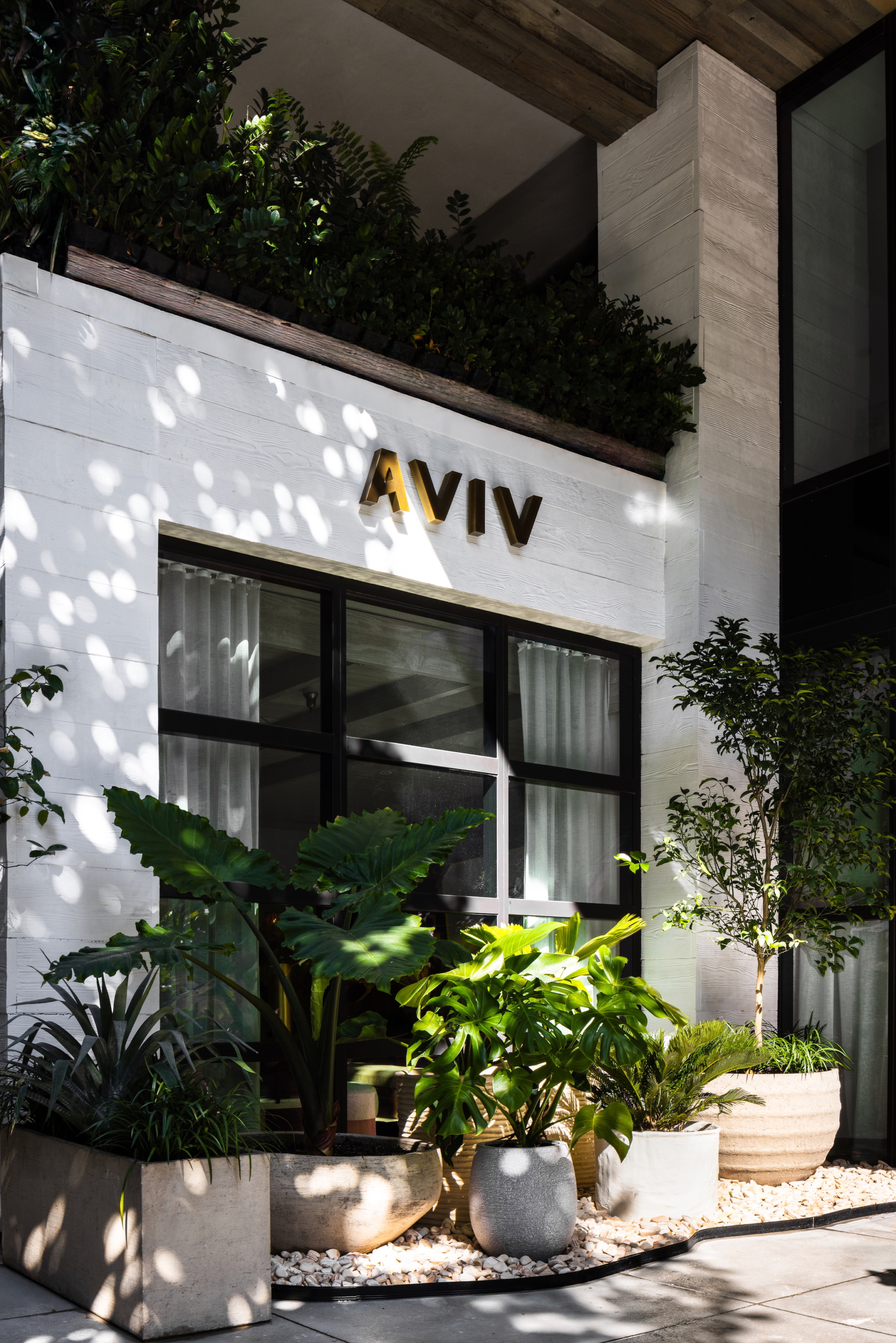 What to Know About Aviv, Michael Solomonov's Major South Beach Debut ...